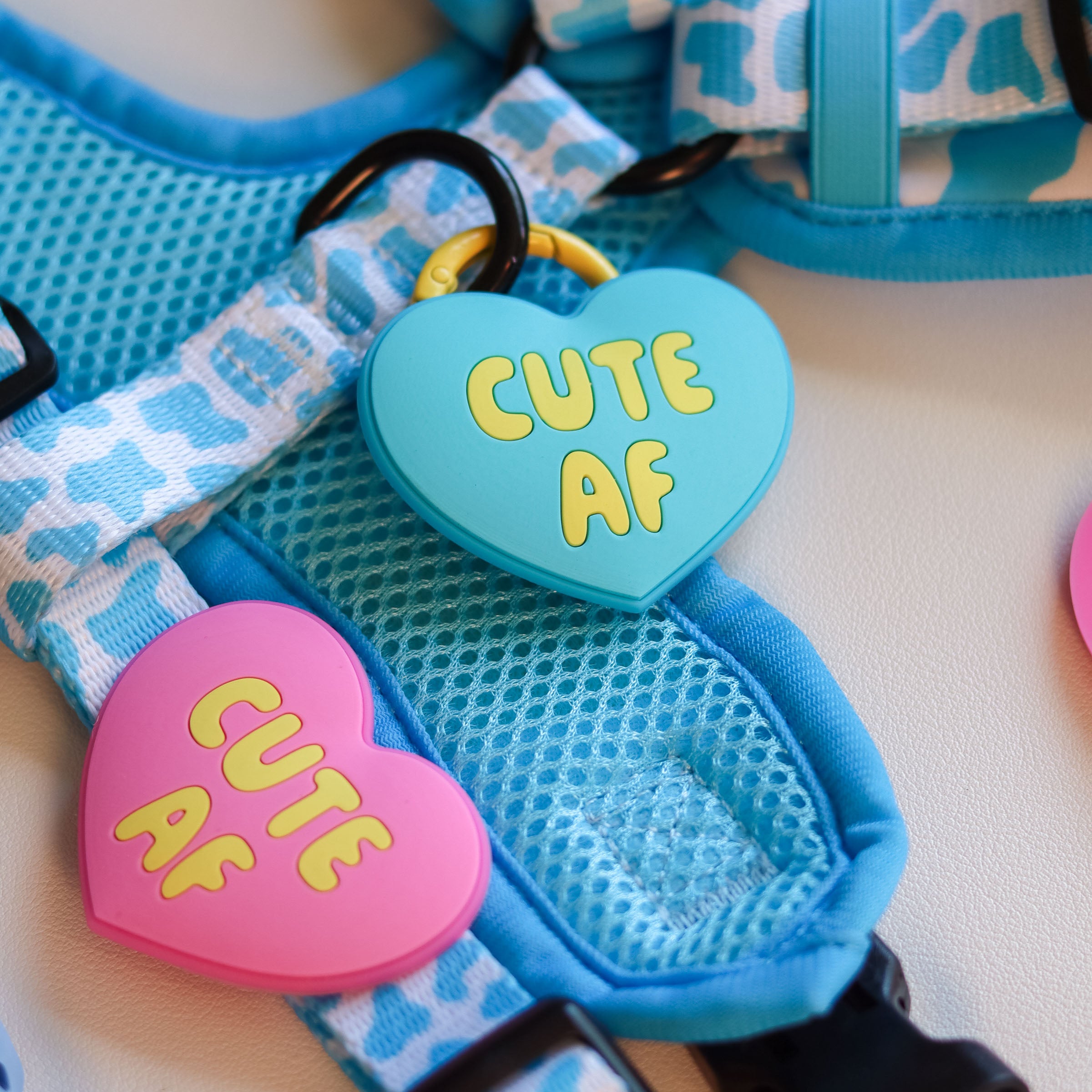 Cute AF Blue Jiby Dog Charm – Jiby Dog Crew