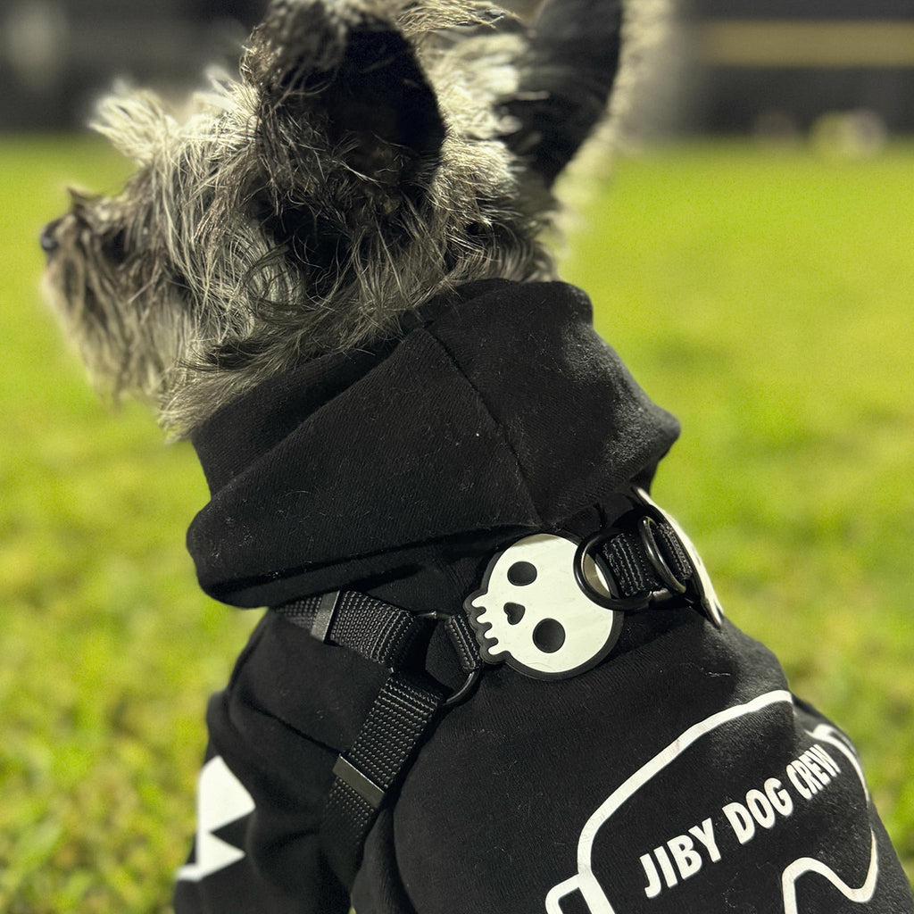 Skull Jiby Dog Charm – Jiby Dog Crew