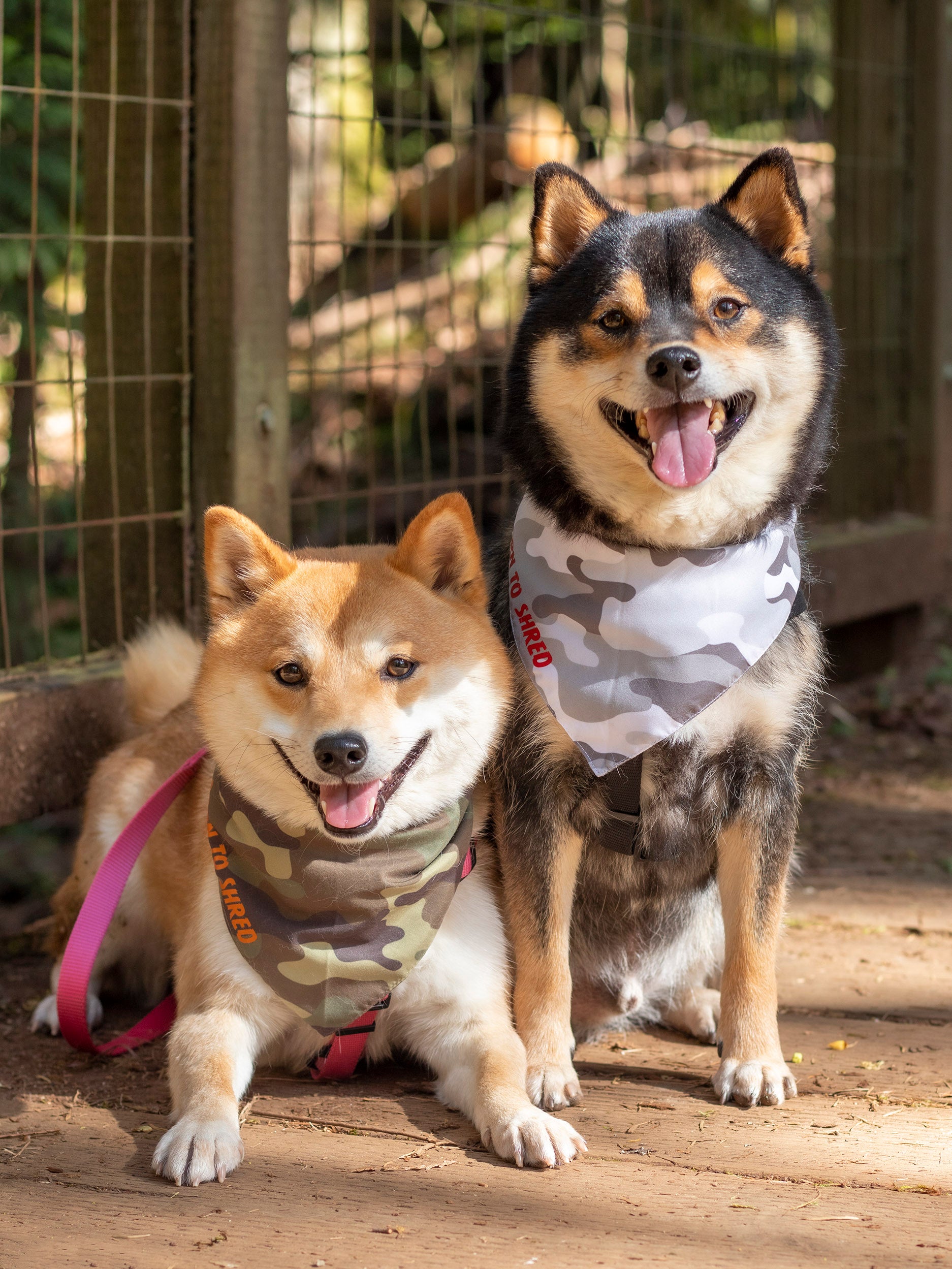 Camo Shredder Dog Bandana – Jiby Dog Crew